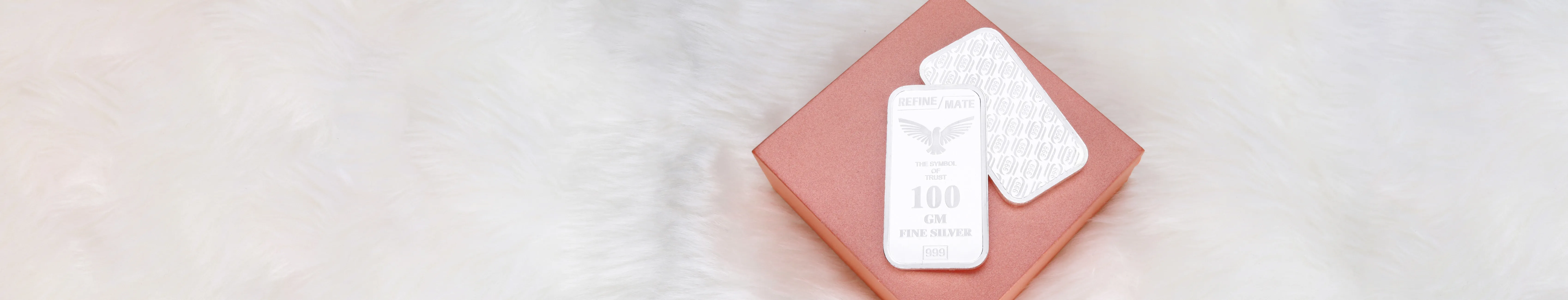 Silver Bars 100 gm