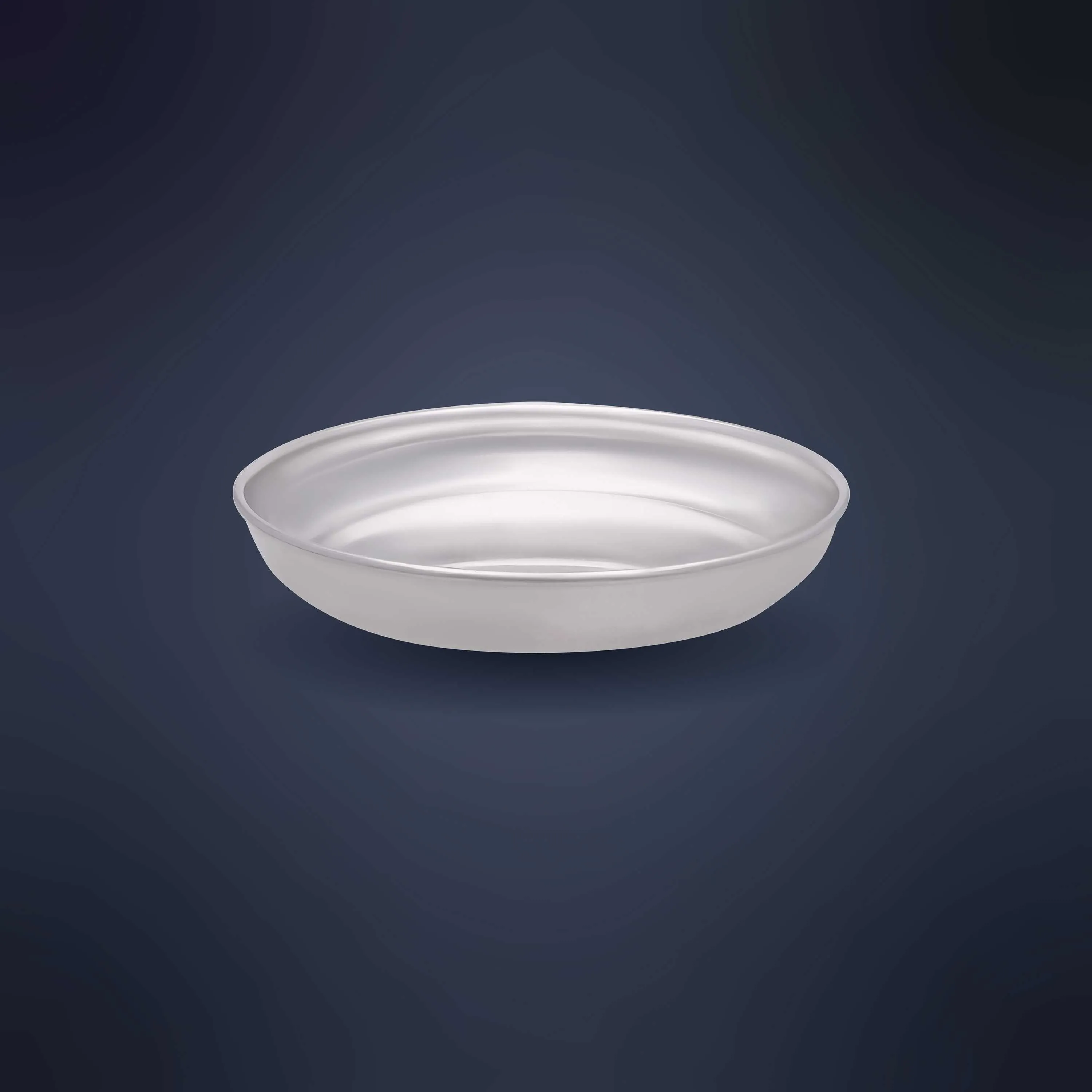 Classic Finely Detailed Silver Plate