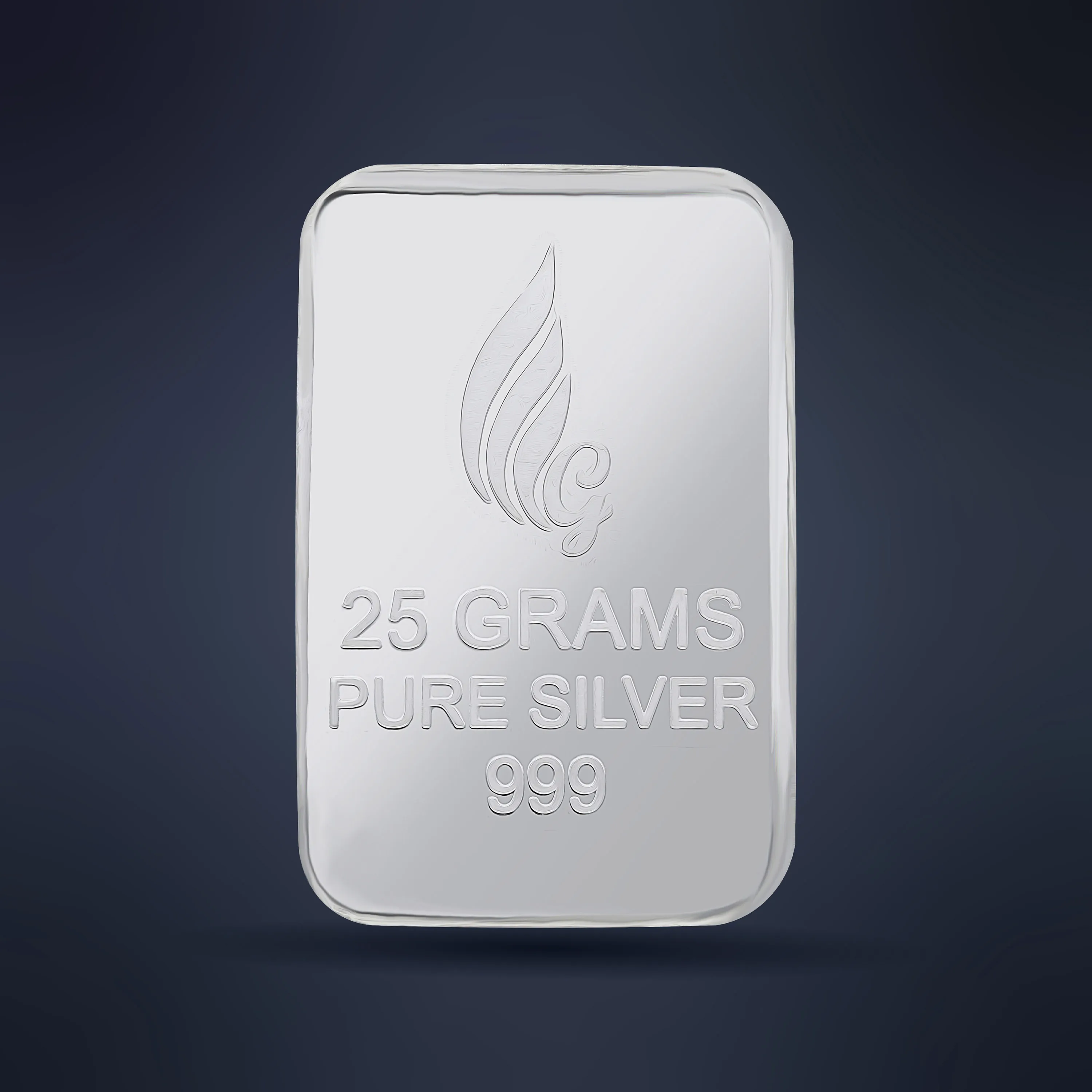 25 gm Plain Silver Bar